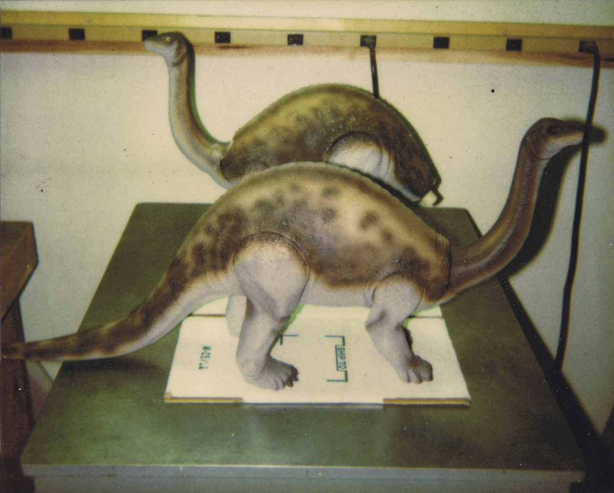 MUSEUM - Brontosaurus