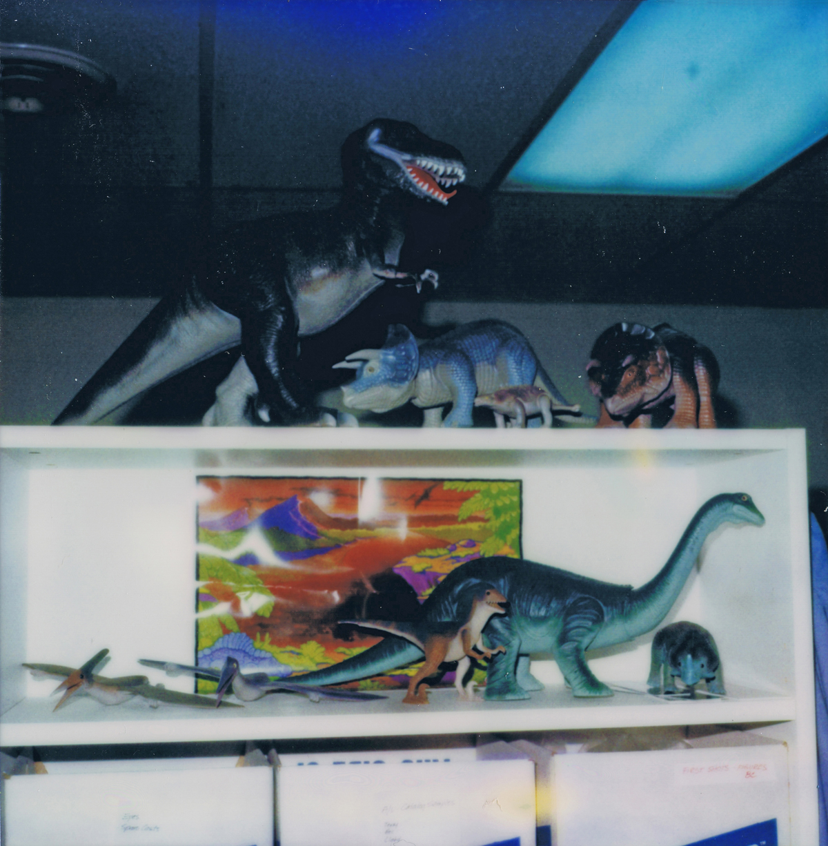 MUSEUM - Prototypes